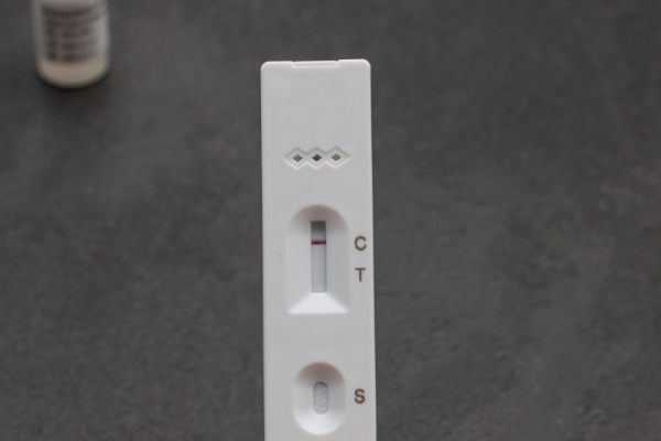 Phytophthora Lateral Flow Rapid Test Fast Delivery | lupon.gov.ph Phytophthora Lateral Flow Rapid Test Fast Delivery | lupon.gov.ph